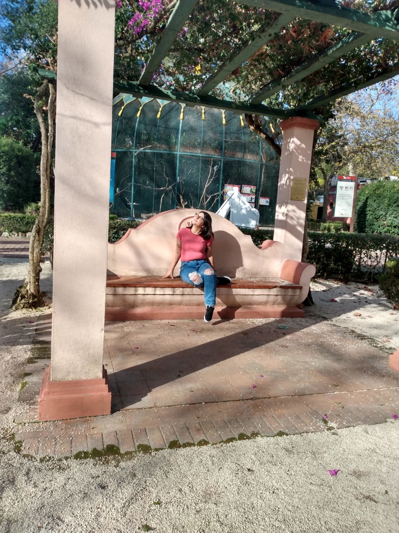 Help me get back to Brazil | PPL