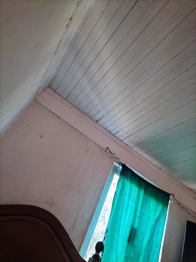 Se cada pessoa me ajudasse | PPL