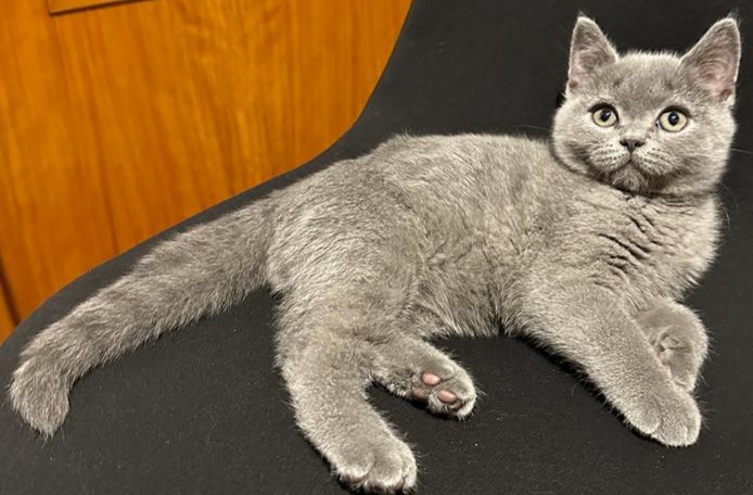 Sami- Acreditar sempre- Não ao PIF! | PPL