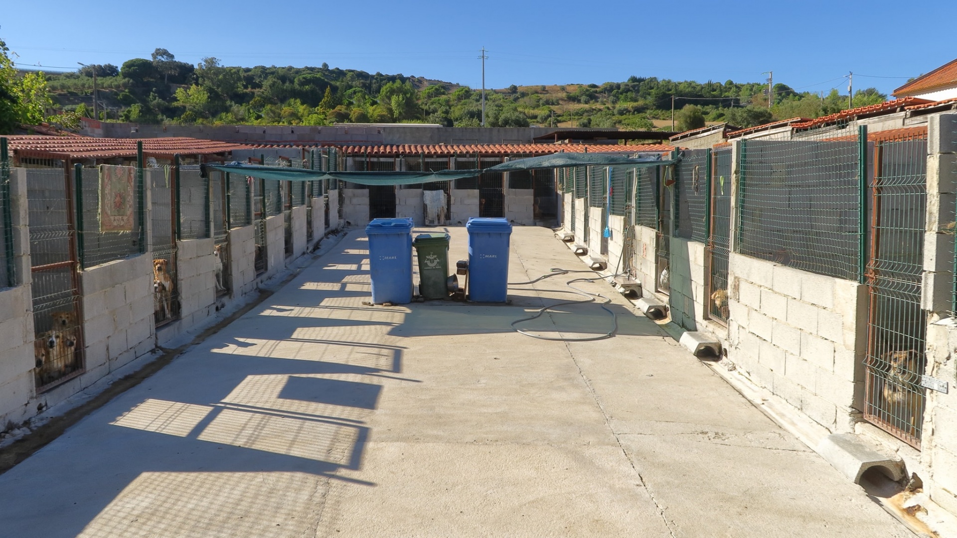 Kausa Animal - Construção de Etar em abrigo | PPL