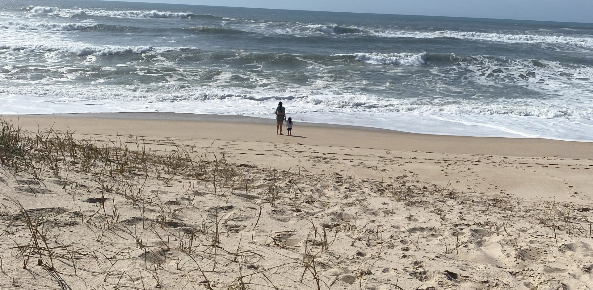 Retorno a casa | PPL