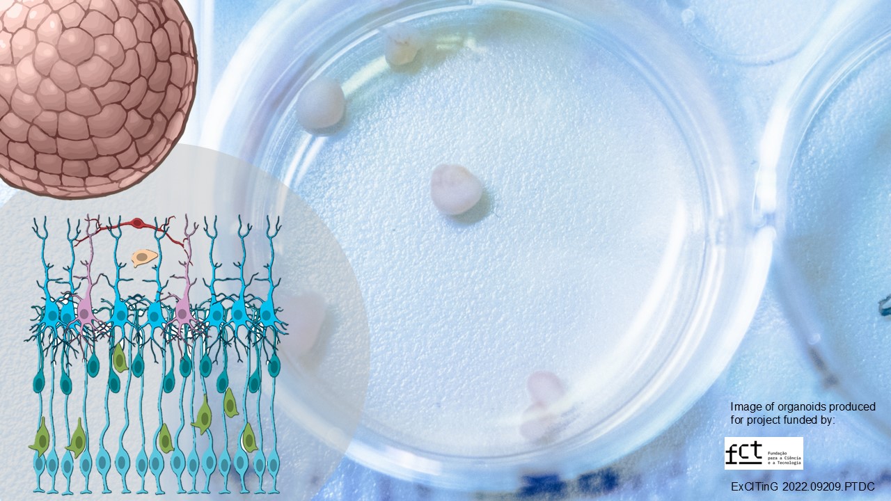 Unraveling the Genetic Risk Factors for Neurodevelopmental Disorders | PPL