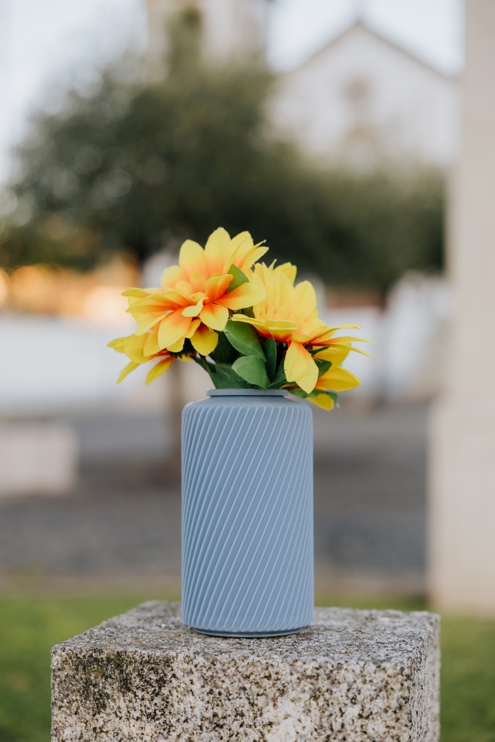 Sallus Home: A Elegante Proteção contra Incêndios em sua Casa | PPL