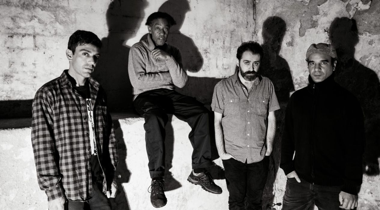 Loosers new album | PPL