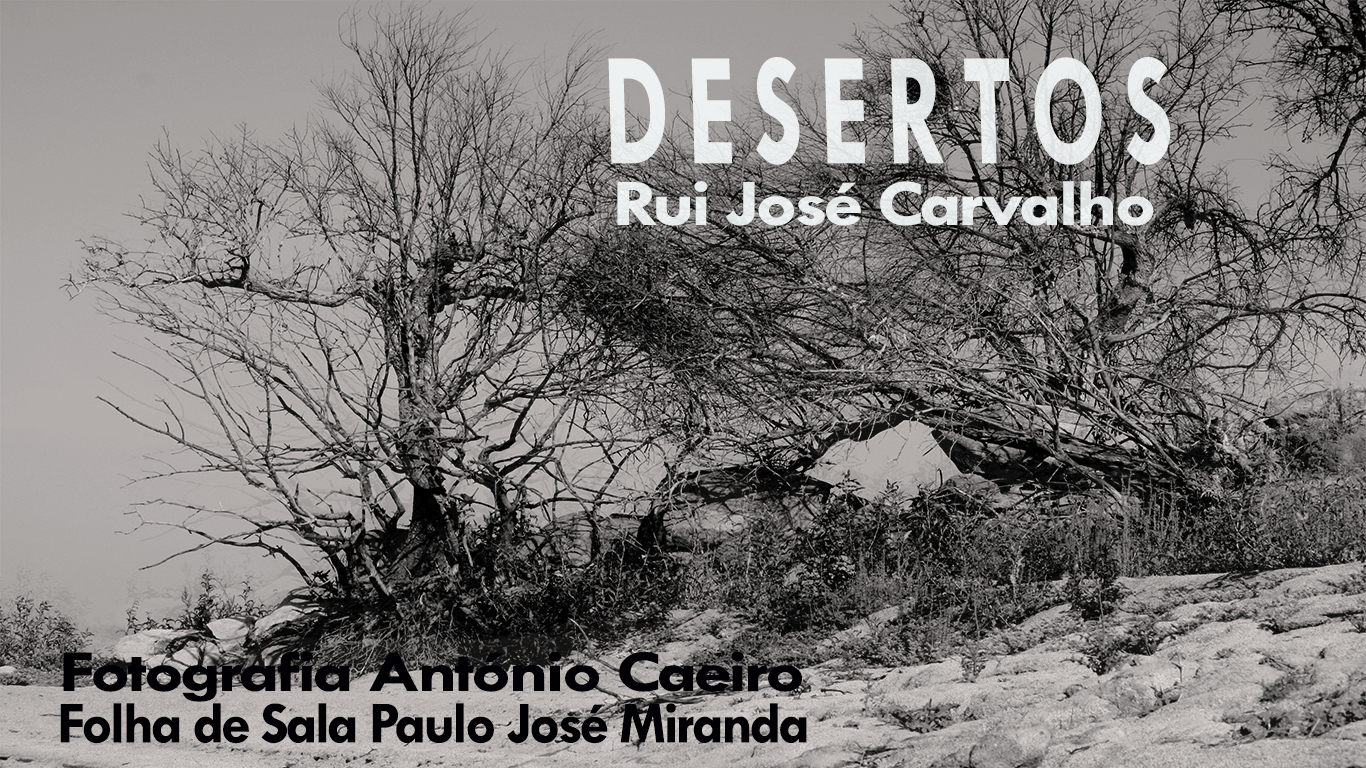 Desertos | PPL