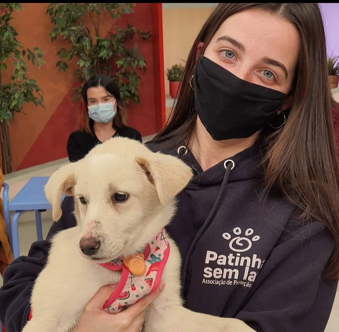 Apoio à Associação Patinhas sem Lar, em período pandémico | PPL