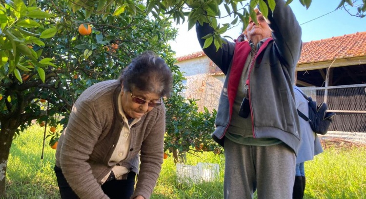 O Papa abriu-nos as portas da sua casa.... precisamos da tua ajuda! | PPL