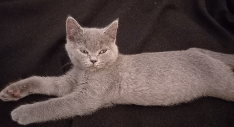 Sami- Acreditar sempre- Não ao PIF! | PPL