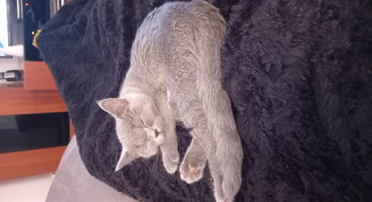 Sami- Acreditar sempre- Não ao PIF! | PPL