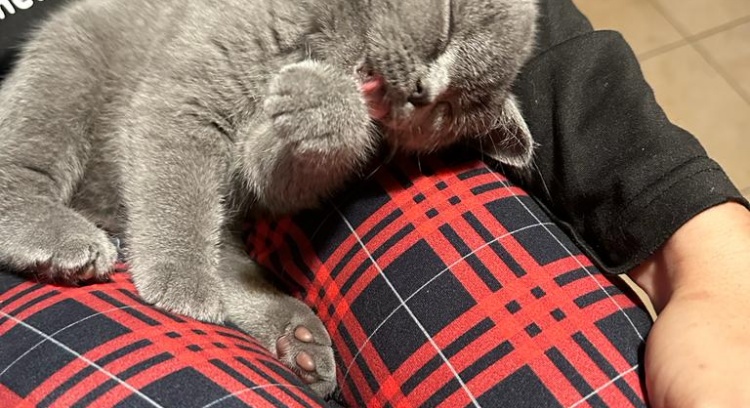 Sami- Acreditar sempre- Não ao PIF! | PPL