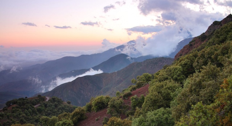 Morocco Expedition - Following the Butterflies | PPL