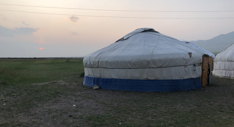 Creating Roots- Help us fight malnutrition in Mongolia! | PPL