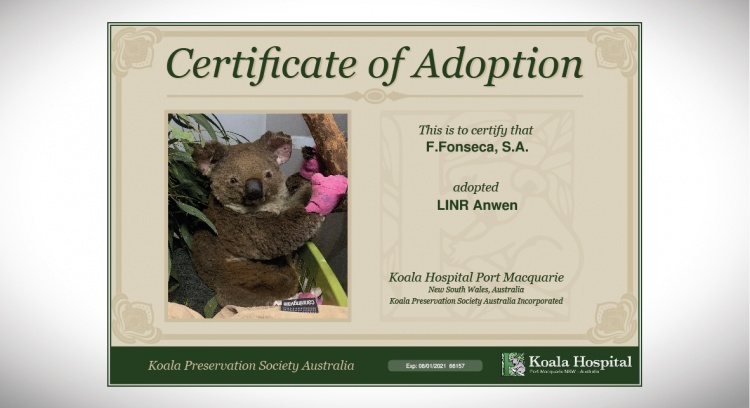 Vamos ajudar a Austrália? | PPL