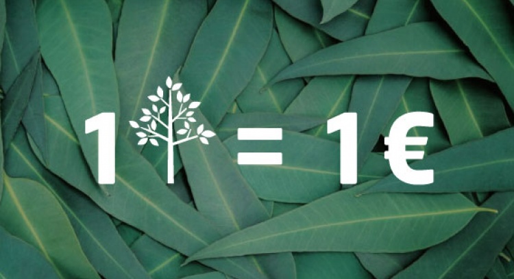 Vamos ajudar a Austrália? | PPL